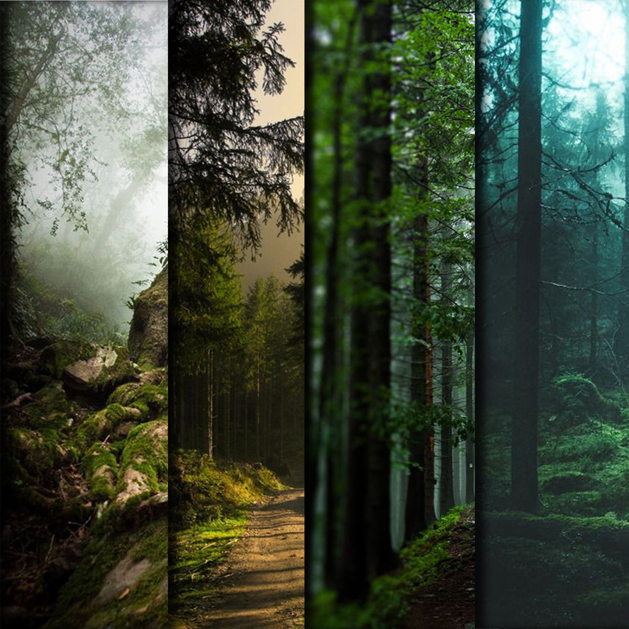 Forest Paper-tree Wallpaper-floor Paper-scrapbooking Craft - Etsy