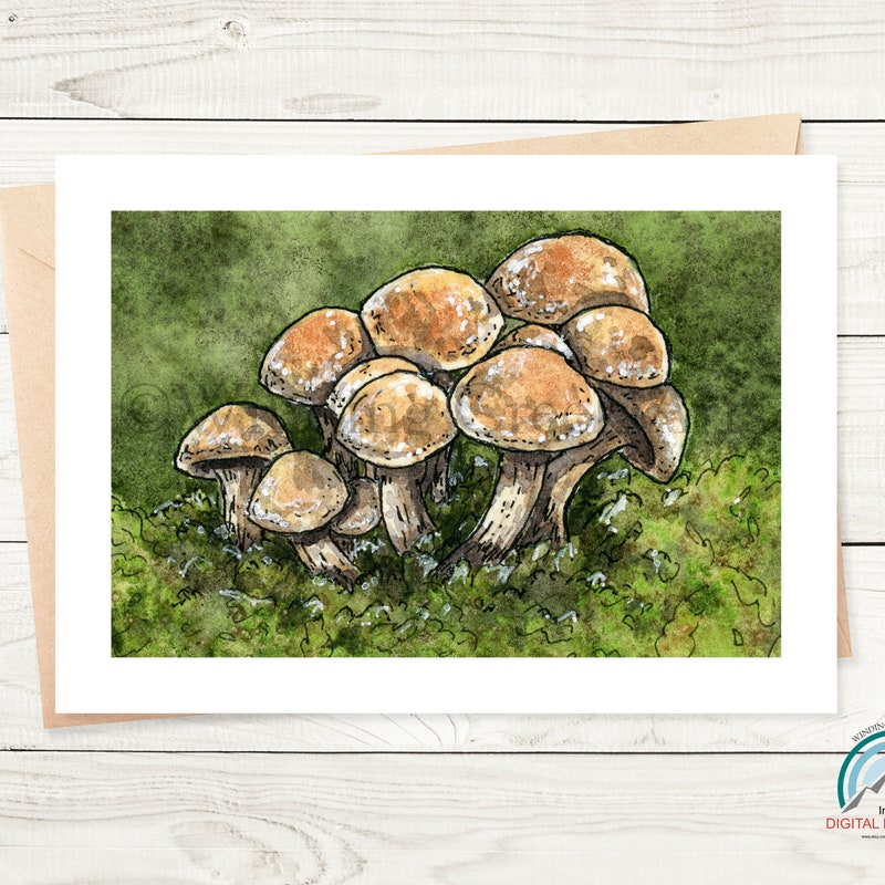 WindingCreekArts - Etsy