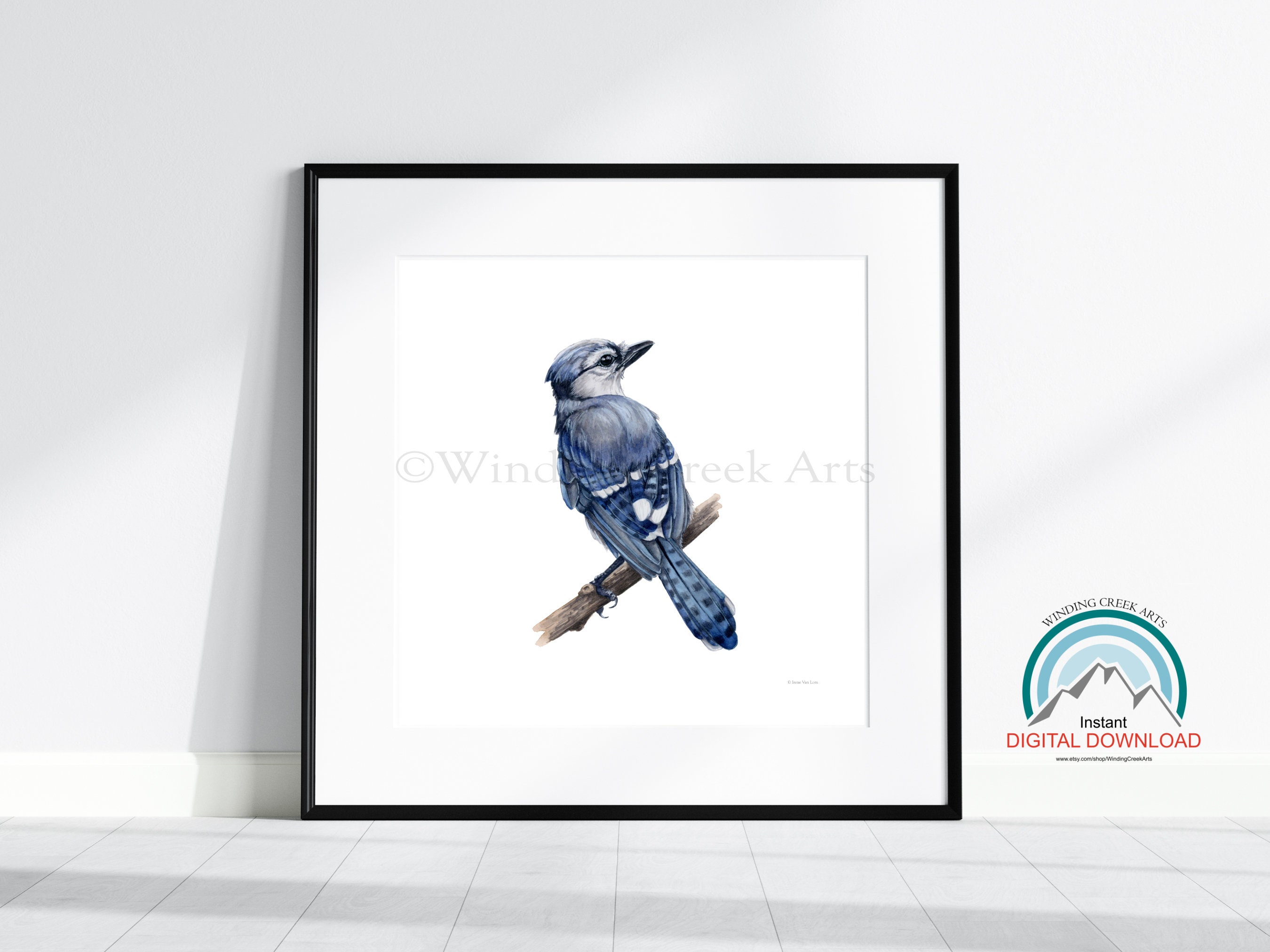 Blue Jay Watercolor Art Print, Printable Bird Art, Blue Jay Wall Art ...