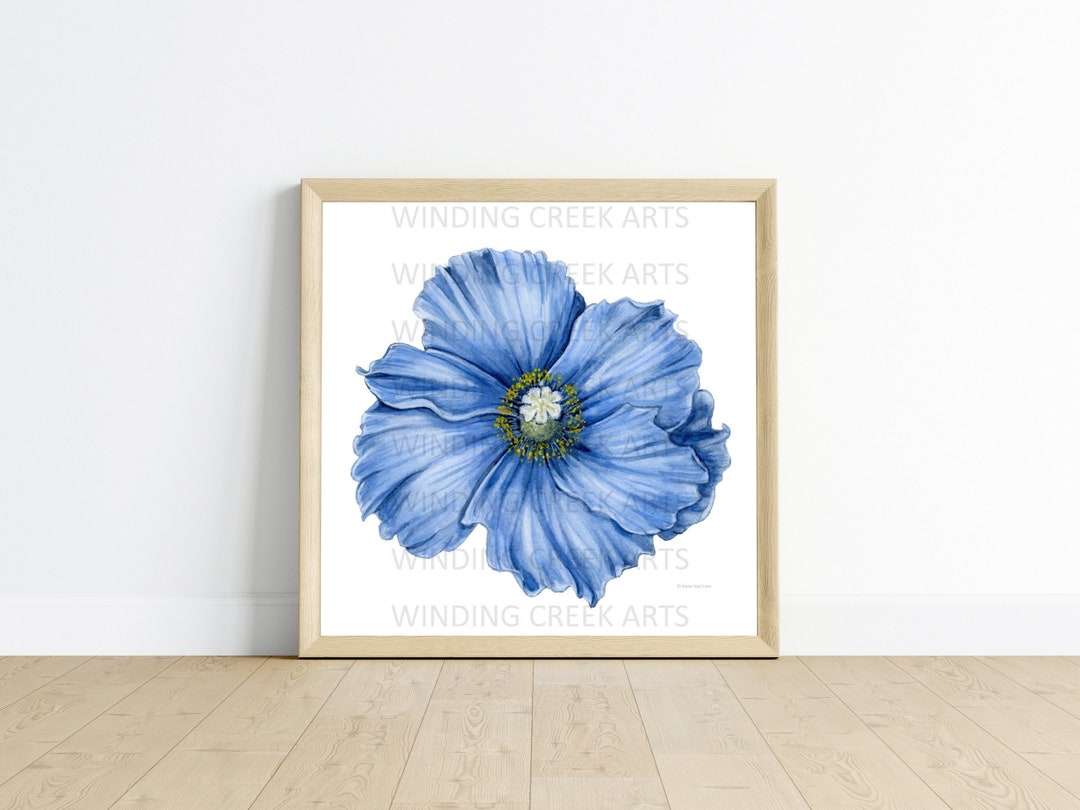Blue Poppy Art Print, Botanical Wall Art, Flower Painting, Watercolor ...