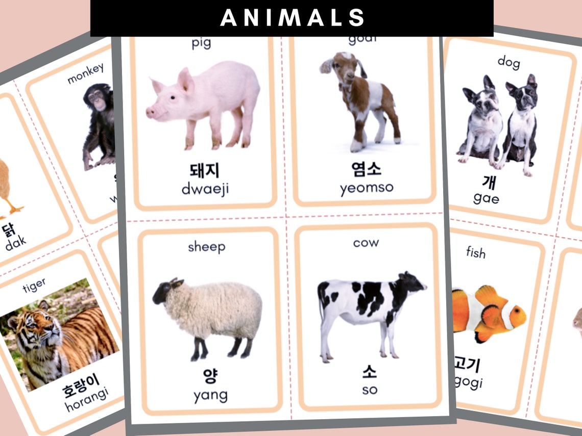 KOREAN FLASHCARDS 146 Words Hangul Hangeul Printable Instant Download ...