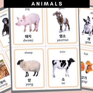 KOREAN FLASHCARDS 146 Words Hangul Hangeul Printable Instant Download ...