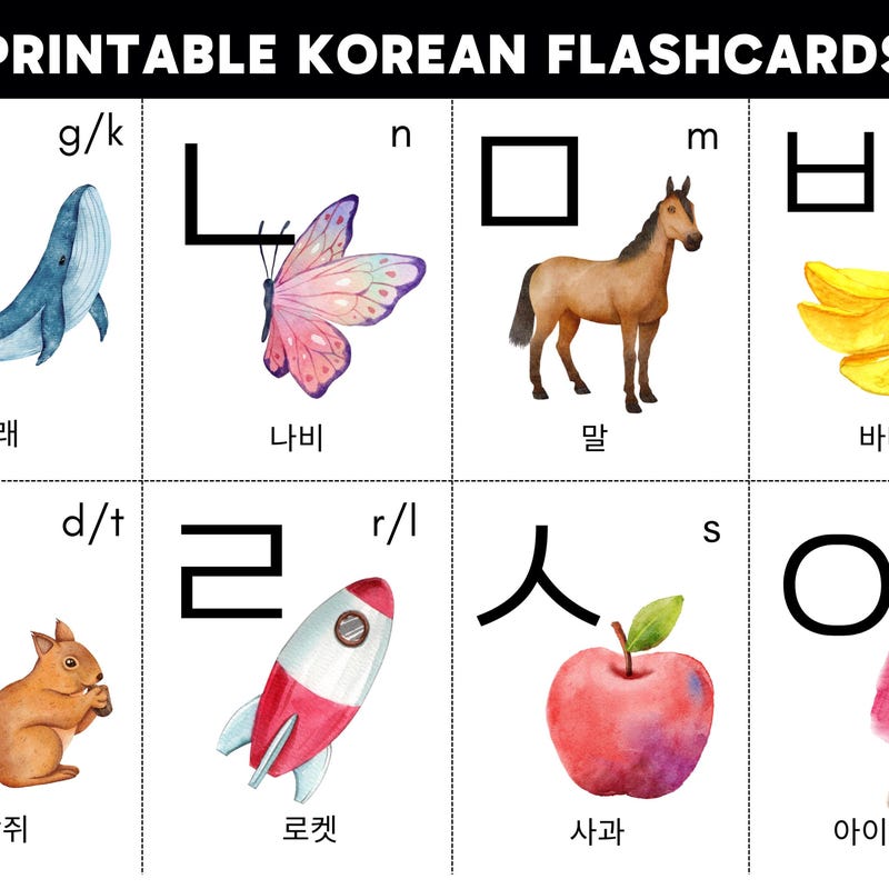Korean Flashcards - Etsy