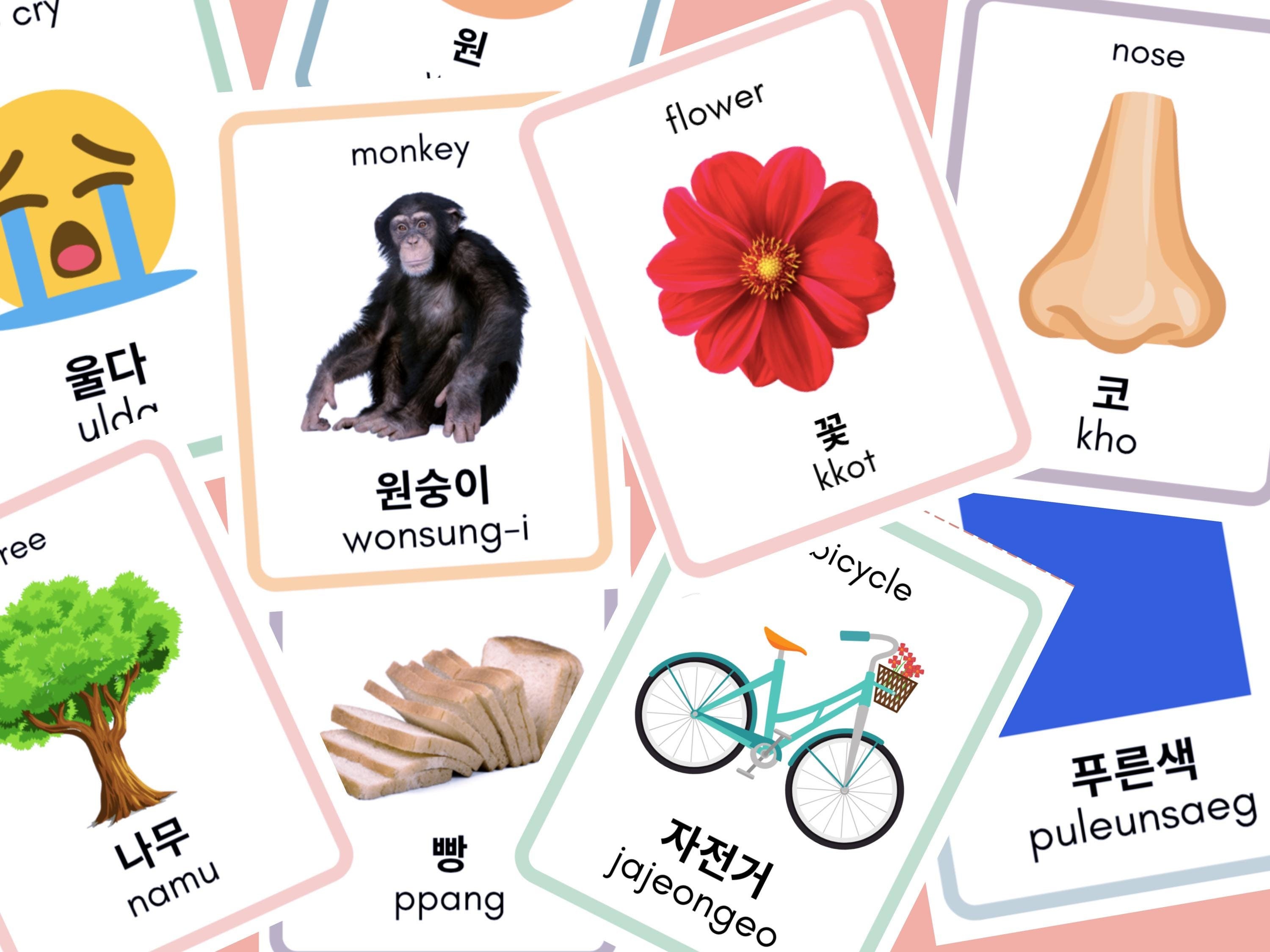 KOREAN FLASHCARDS 146 Words Hangul Hangeul Printable Instant Download ...