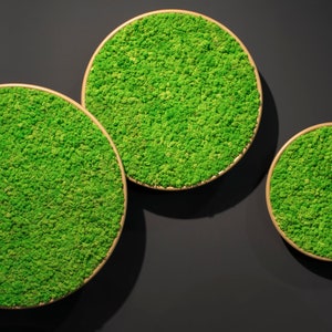 Moss Circle / Round Panel - Etsy