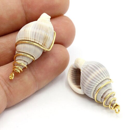 24 K Shiny Gold Plated Wire Connected With Sea Shell Shell - Etsy