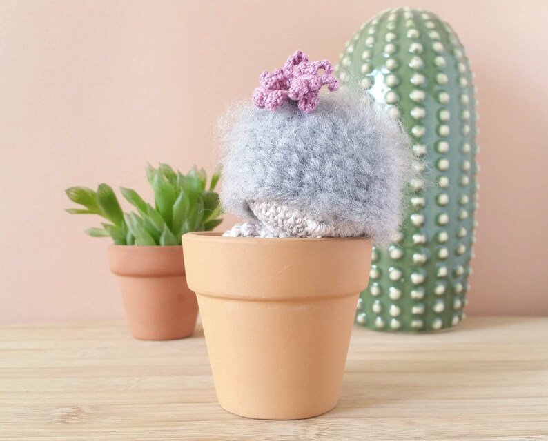 Caps-only Crochet Cactus Pattern Short Pattern Edition | Etsy