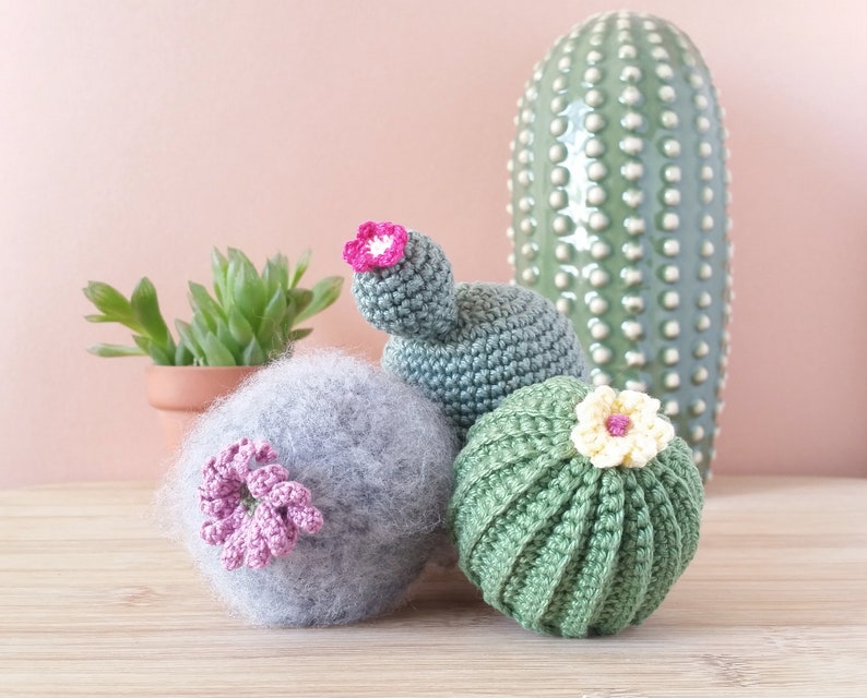Caps-only Crochet Cactus Pattern Short Pattern Edition | Etsy