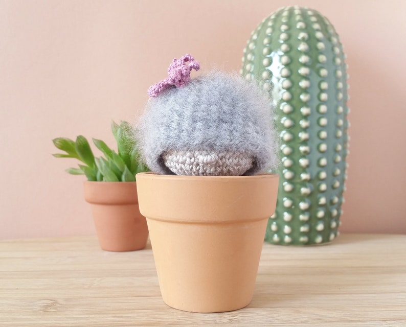Caps-only Crochet Cactus Pattern Short Pattern Edition | Etsy