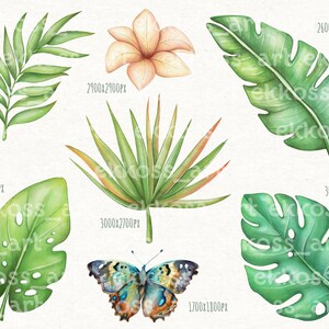Watercolor Tropical Leaves Clipart, Summer Clipart PNG - Etsy