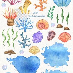 Watercolor Ocean Clipart, Cute Sea Animal Clipart PNG - Etsy