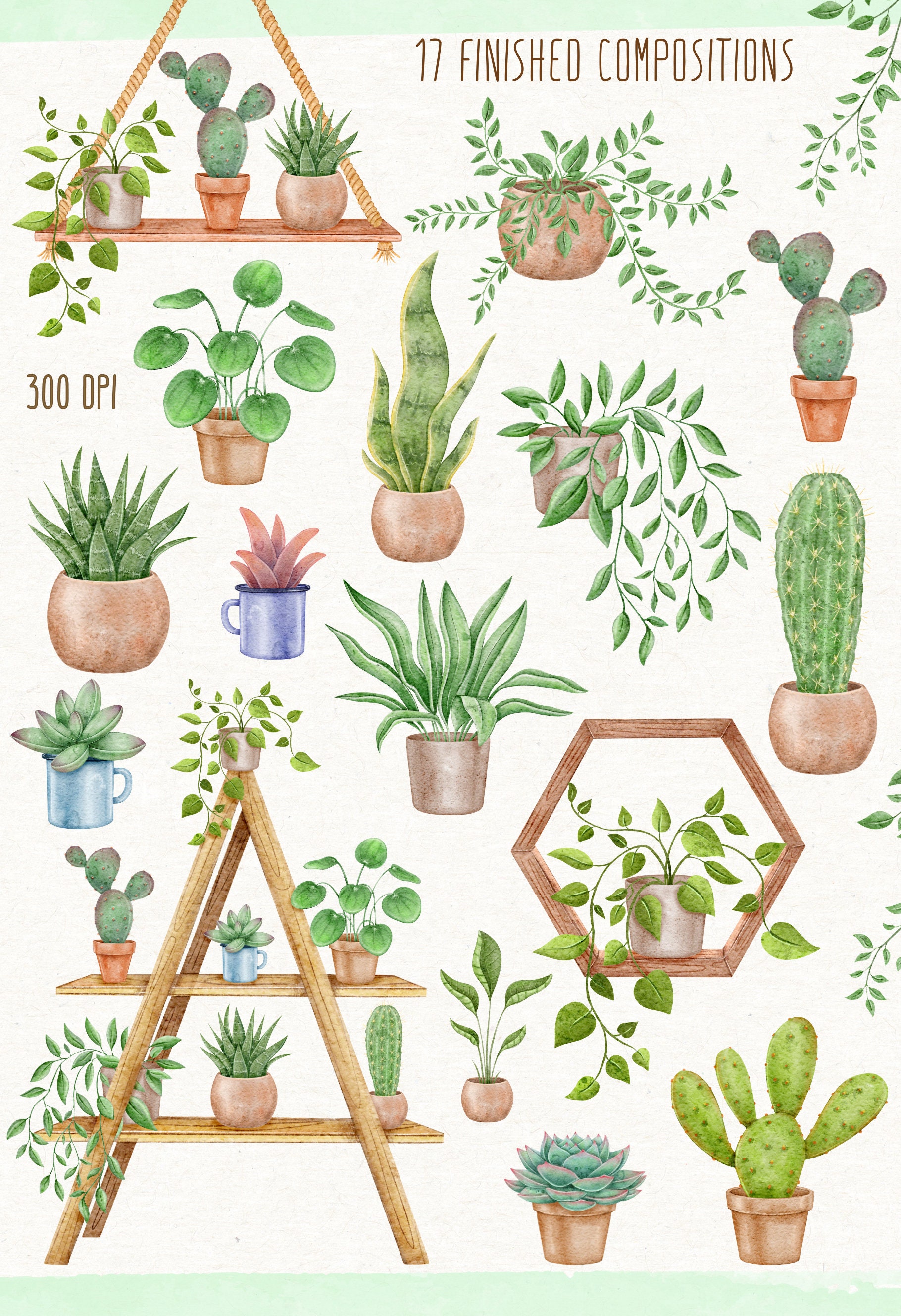 Watercolor Succulent Cactus and House Plants Clipart Digital - Etsy
