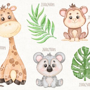 Cute Safari Animals Clipart, Jungle Baby Shower, Tropical Art PNG - Etsy