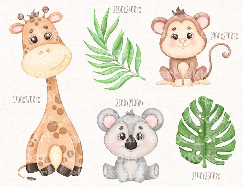 Cute Safari Animals Clipart Jungle Baby Shower Tropical Art - Etsy