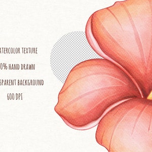 Watercolor Tropical Leaves Clipart, Summer Clipart PNG - Etsy