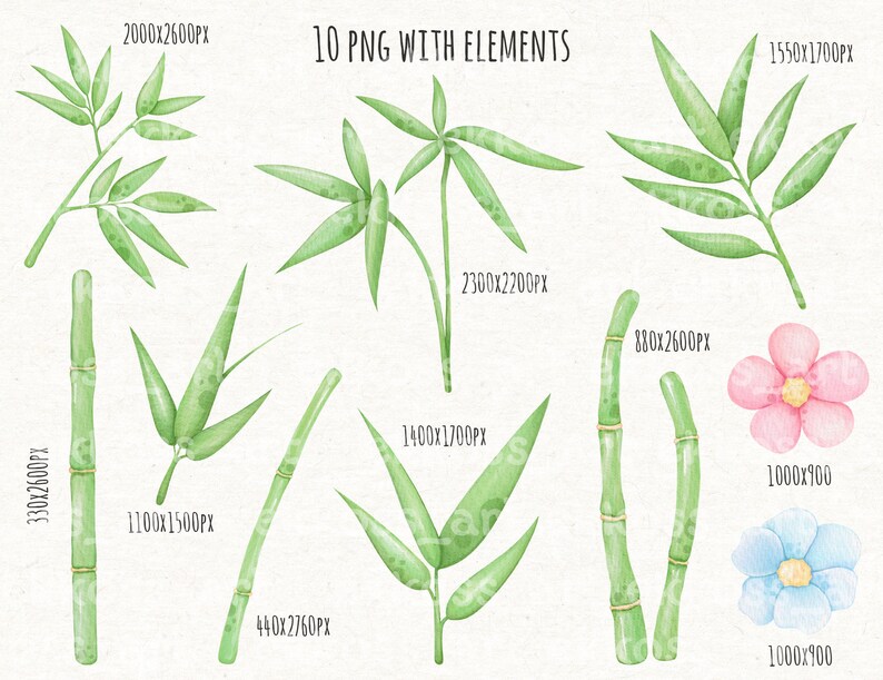 Watercolor Panda And Bamboo Clipart Digital Printable Art | Etsy