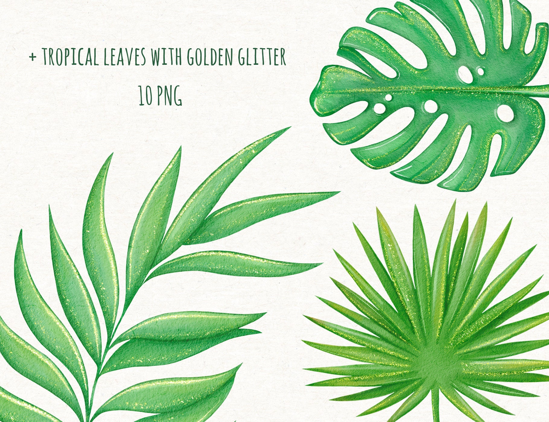 Tropical Summer Clipart, Tropical Flowers, Leaves, PNG - Etsy