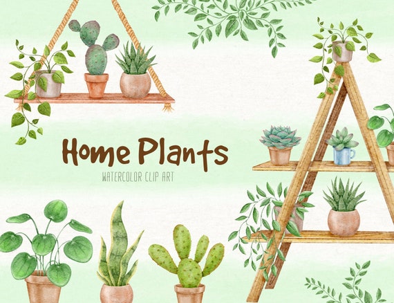 Watercolor Succulent Cactus and House Plants clipart Digital | Etsy
