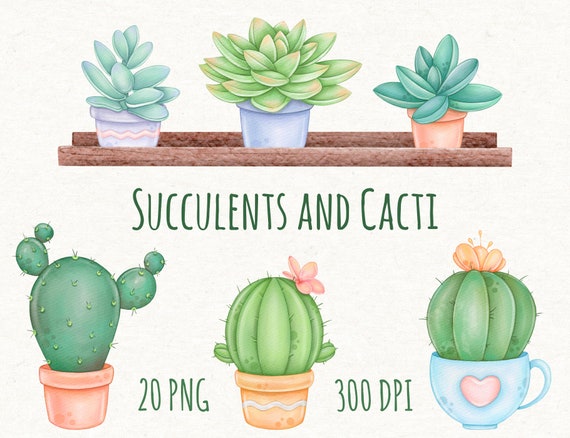 Cactus and Succullent Clipart Watercolor PNG Digital | Etsy