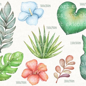 Watercolor Tropical Leaves Clipart, Summer Clipart PNG - Etsy