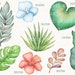 Watercolor Tropical Leaves Clipart, Summer Clipart PNG - Etsy