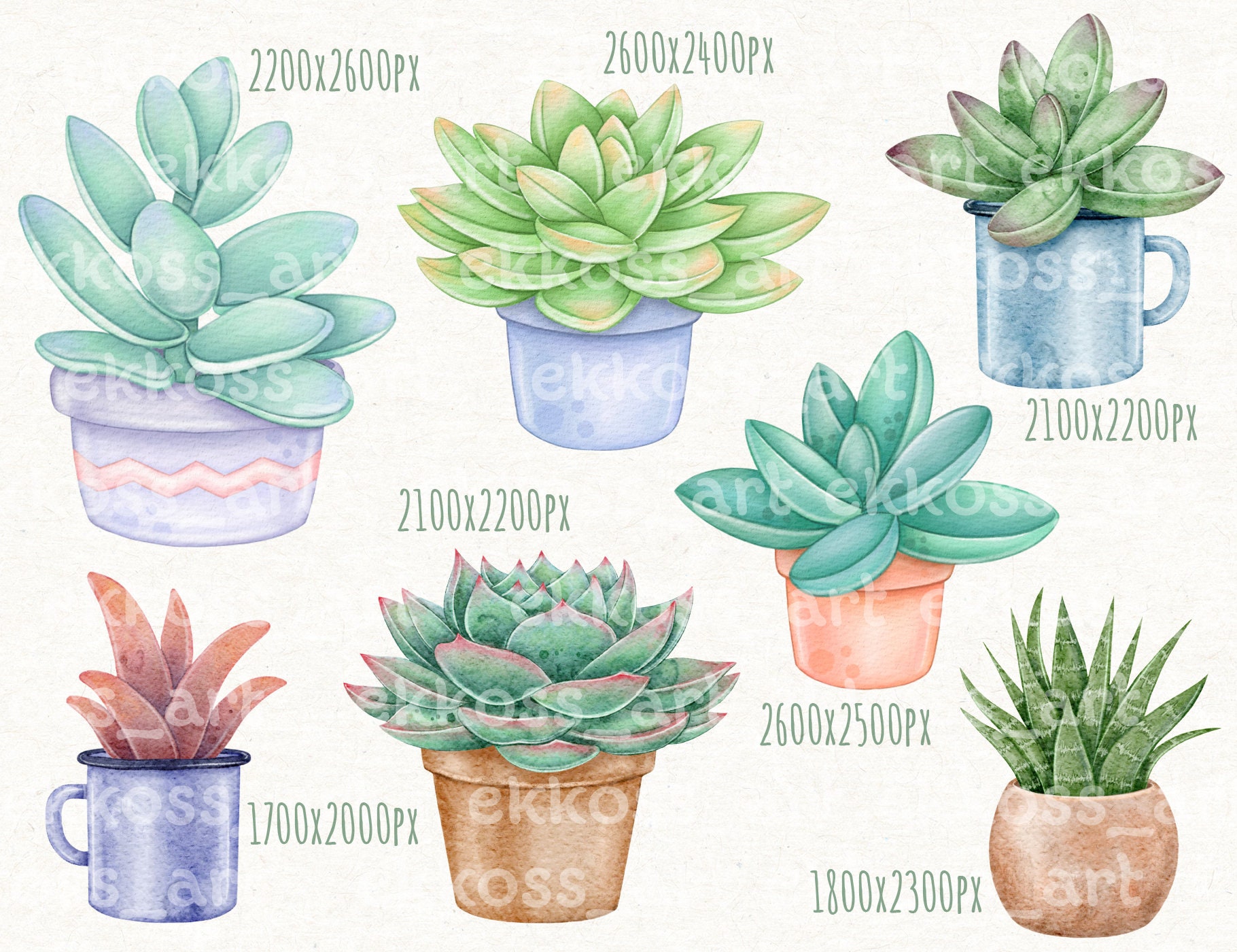 Cactus and Succullent Clipart Watercolor PNG Digital | Etsy