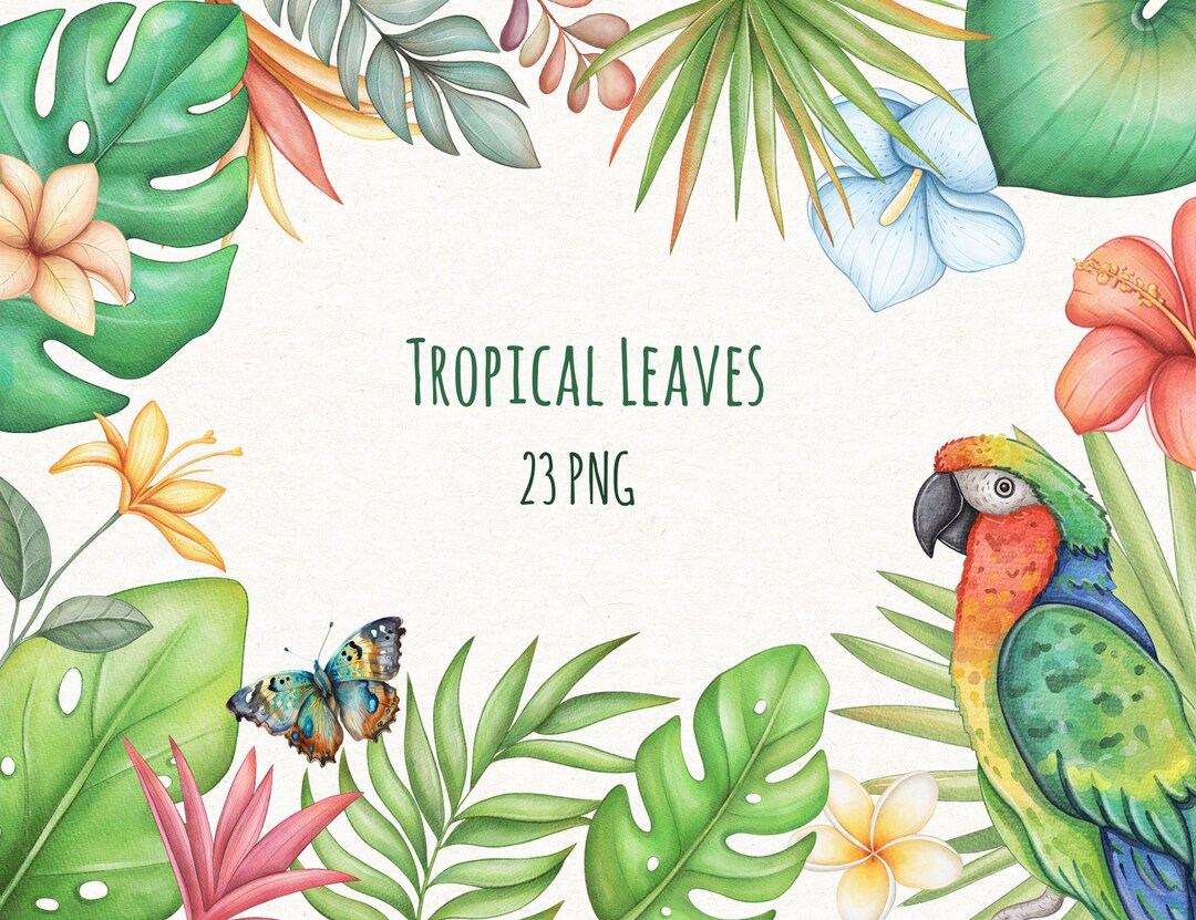 Watercolor Tropical Leaves Clipart, Summer Clipart PNG - Etsy