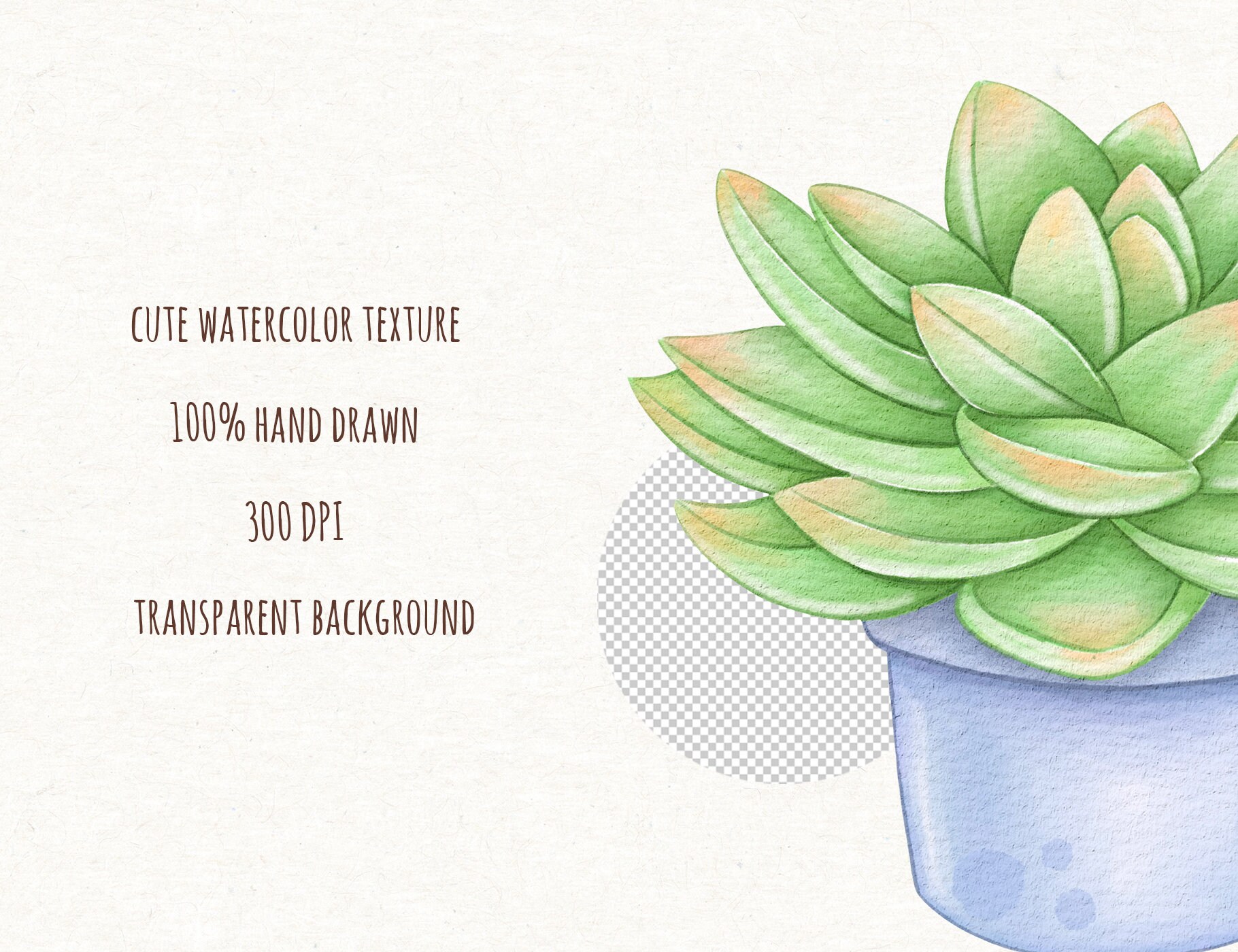 Cactus and Succullent Clipart Watercolor PNG Digital | Etsy