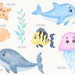 Sea Animals Clipart, Ocean Clipart, Digital Download, Png - Etsy