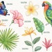 Watercolor Tropical Leaves Clipart, Summer Clipart PNG - Etsy