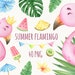 Summer Flamingo Clipart Watercolor Tropical Png Sublimation | Etsy