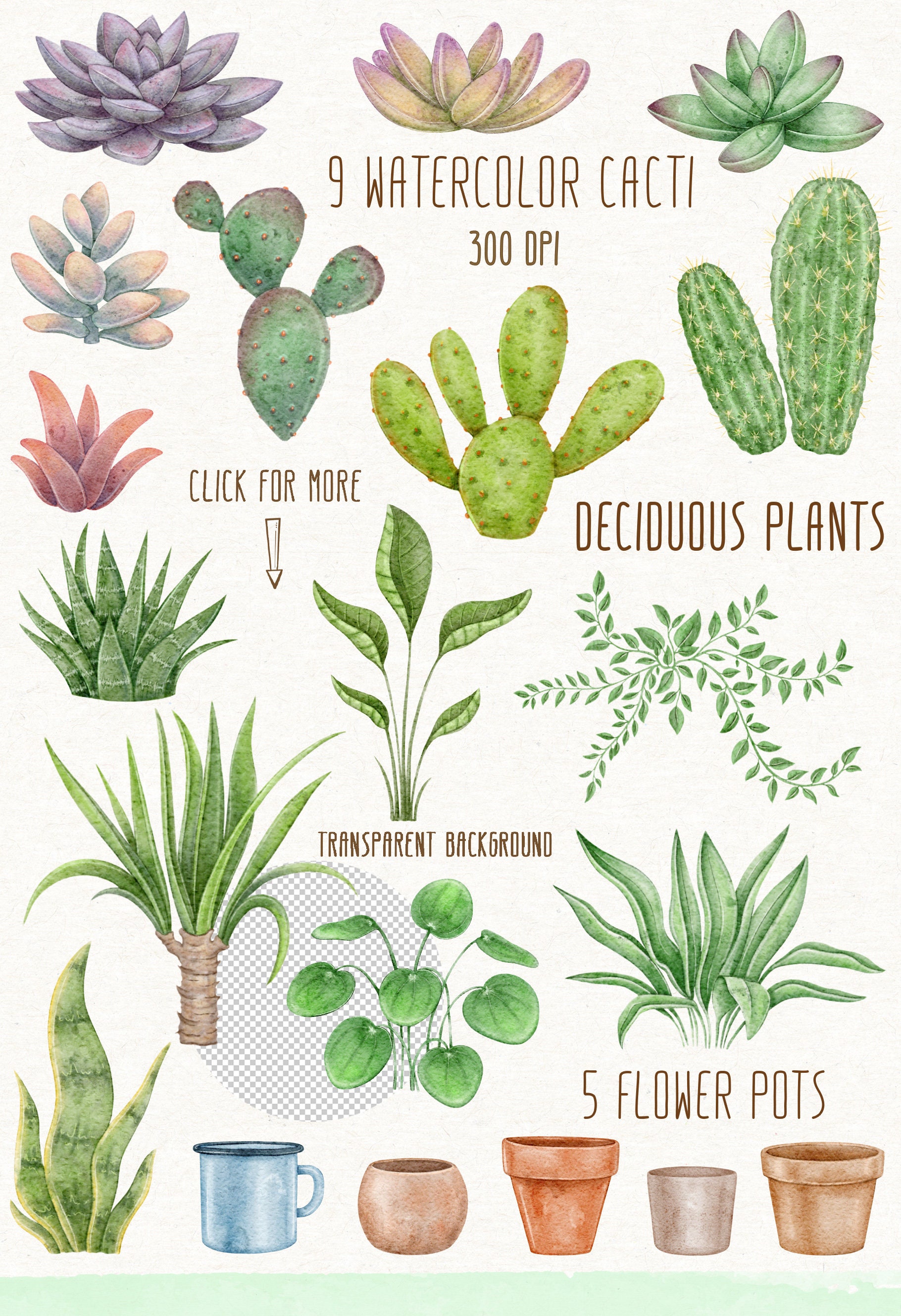 Watercolor Succulent Cactus and House Plants Clipart Digital - Etsy