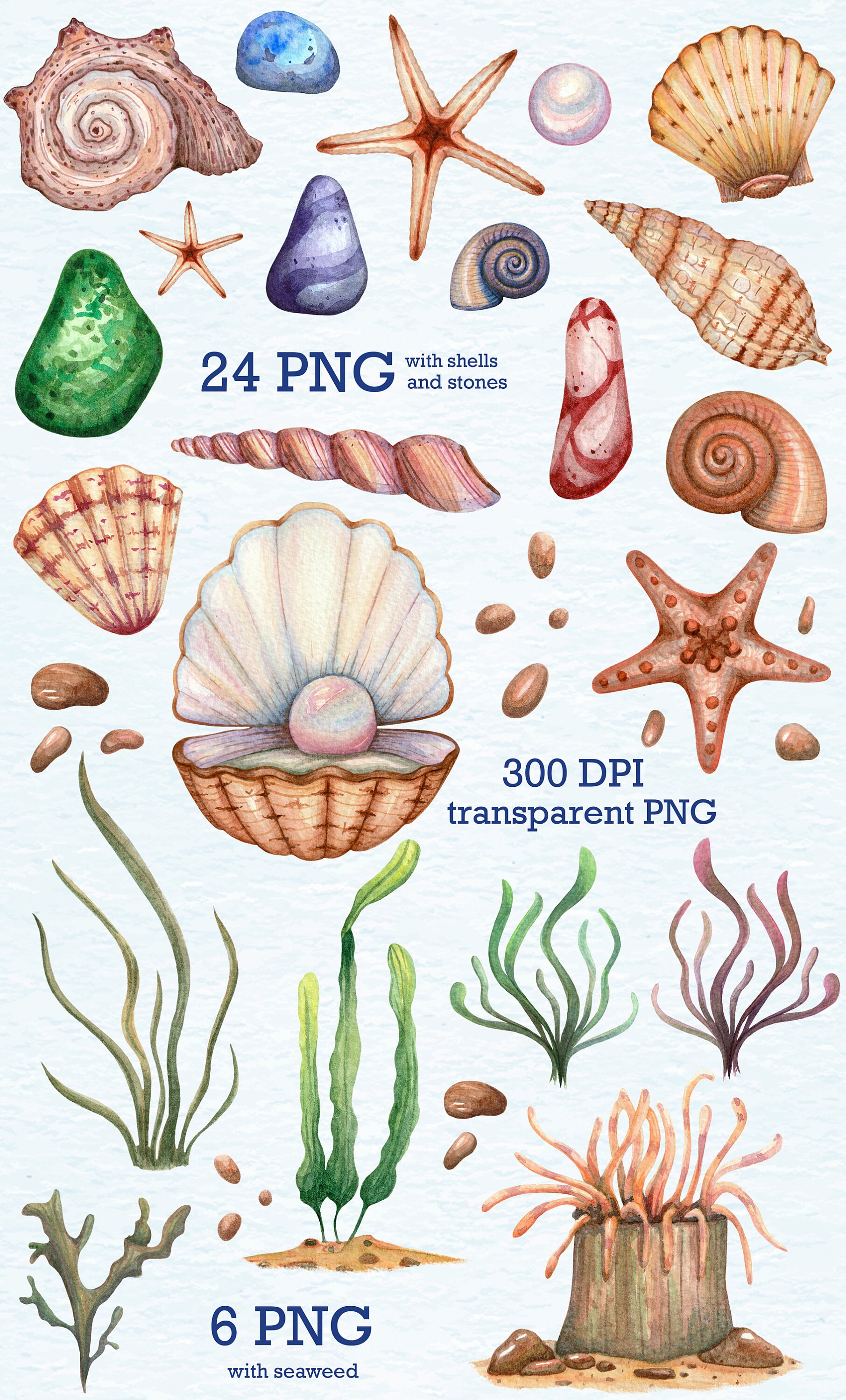 Watercolor Sea Life Clip Art Ocean Clipart Sea Seamless - Etsy
