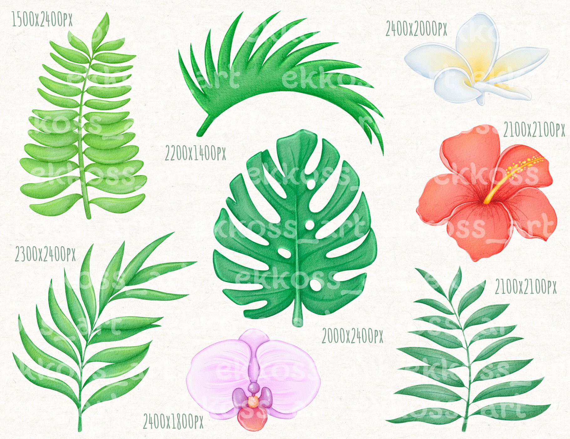 Tropical Summer Clipart Tropical Flowers Leaves PNG - Etsy