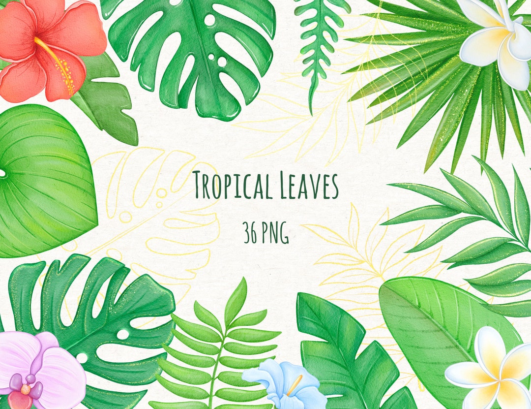 Tropical Summer Clipart, Tropical Flowers, Leaves, PNG - Etsy