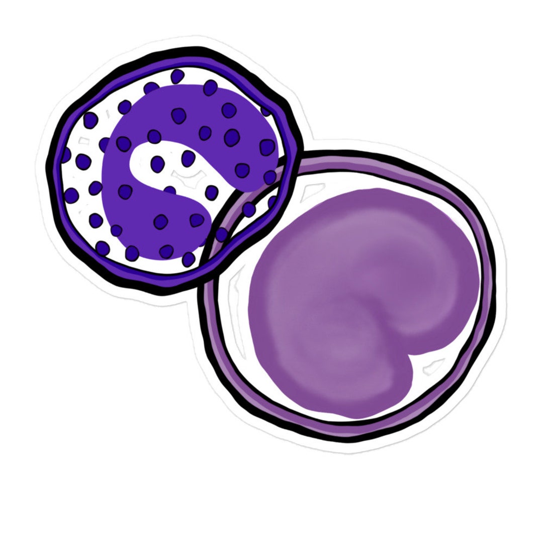 Hematology Decal, Large - Nerdy Science Stuff | Basophil | Monocyte ...
