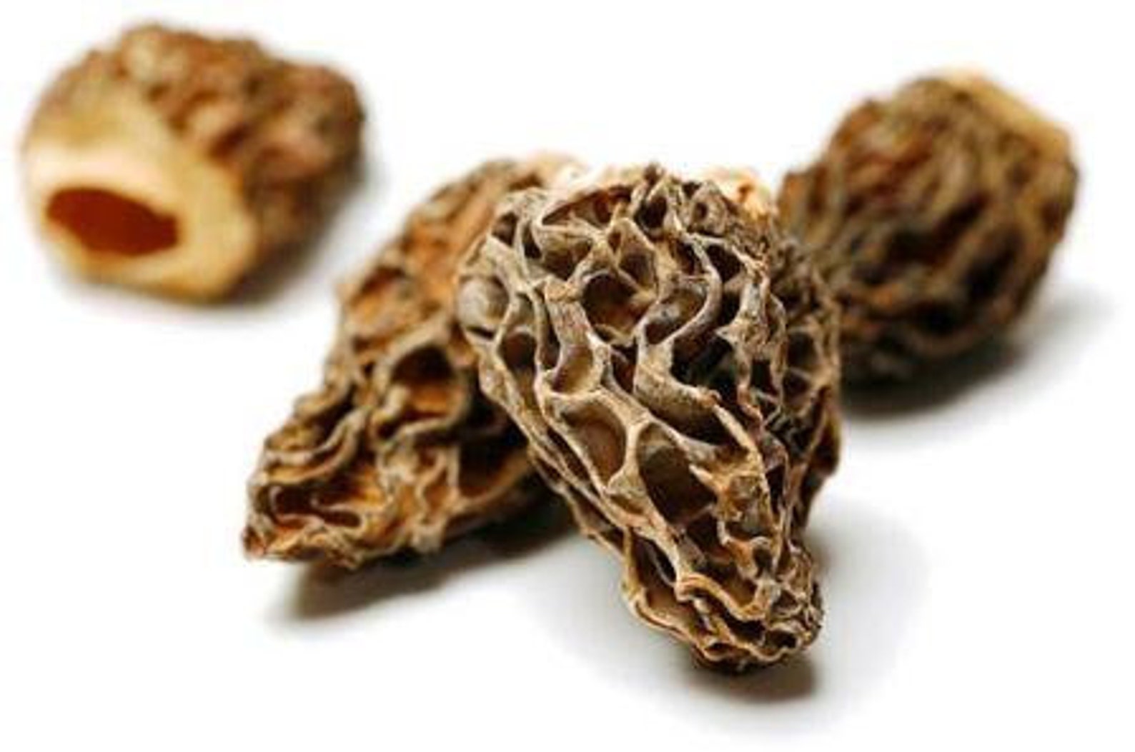 Getrocknete Morcheln | Etsy