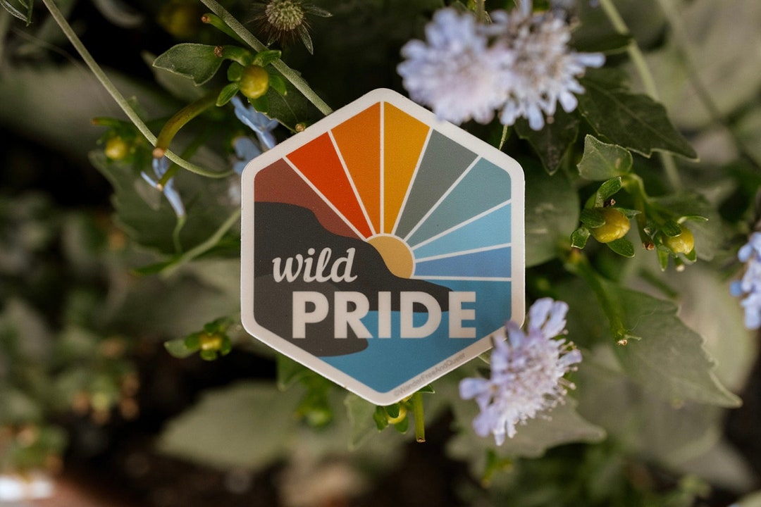 Wild Pride Vinyl Sticker: LGBTQ+ Weatherproof Car Magnet - Etsy