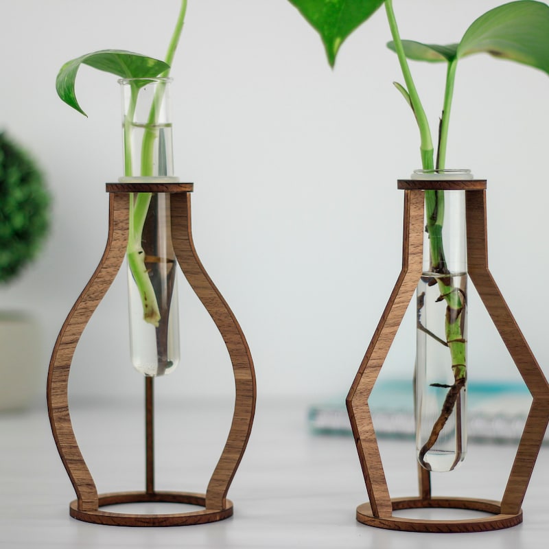 Test Tube Vase - Etsy
