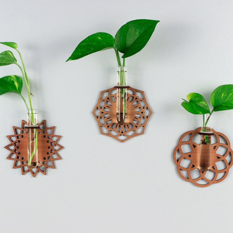 Propagation Station - Etsy