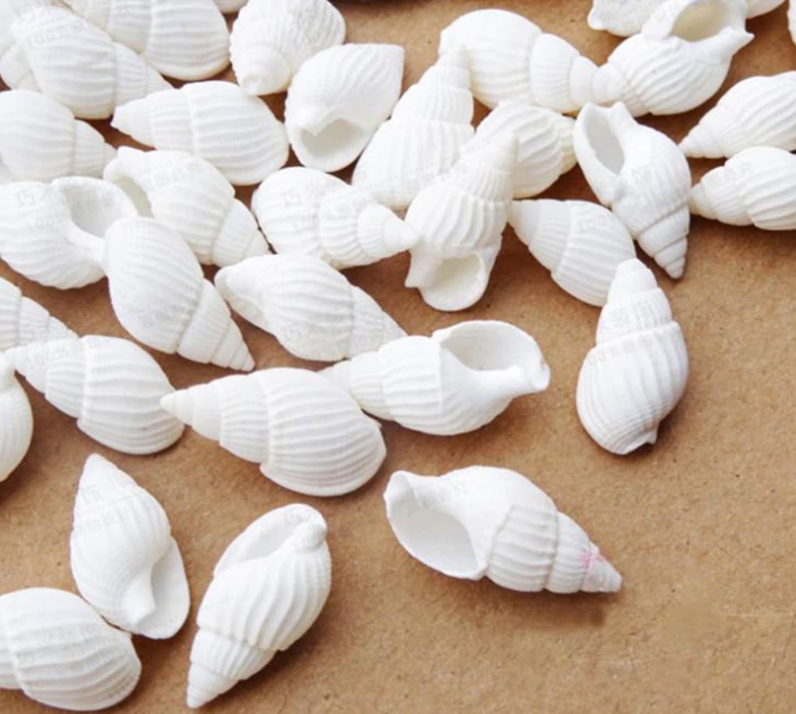 100PCS Natural Conch Shell Aquarium Decoration Mini Sea Beach | Etsy