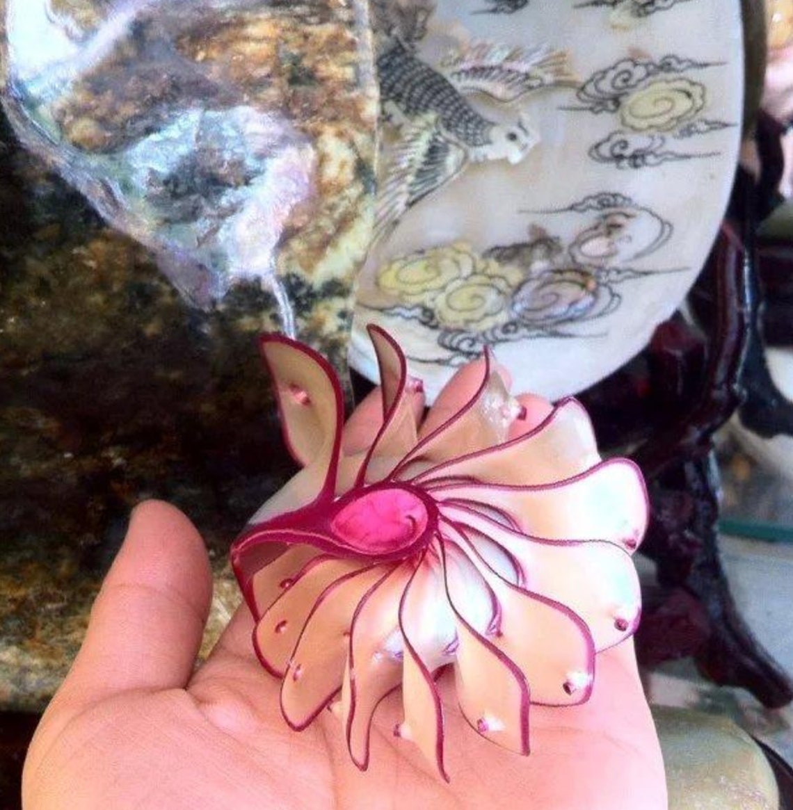 Rare Natural Conch Shell Snails Aquarium Home Decor Gift - Etsy UK