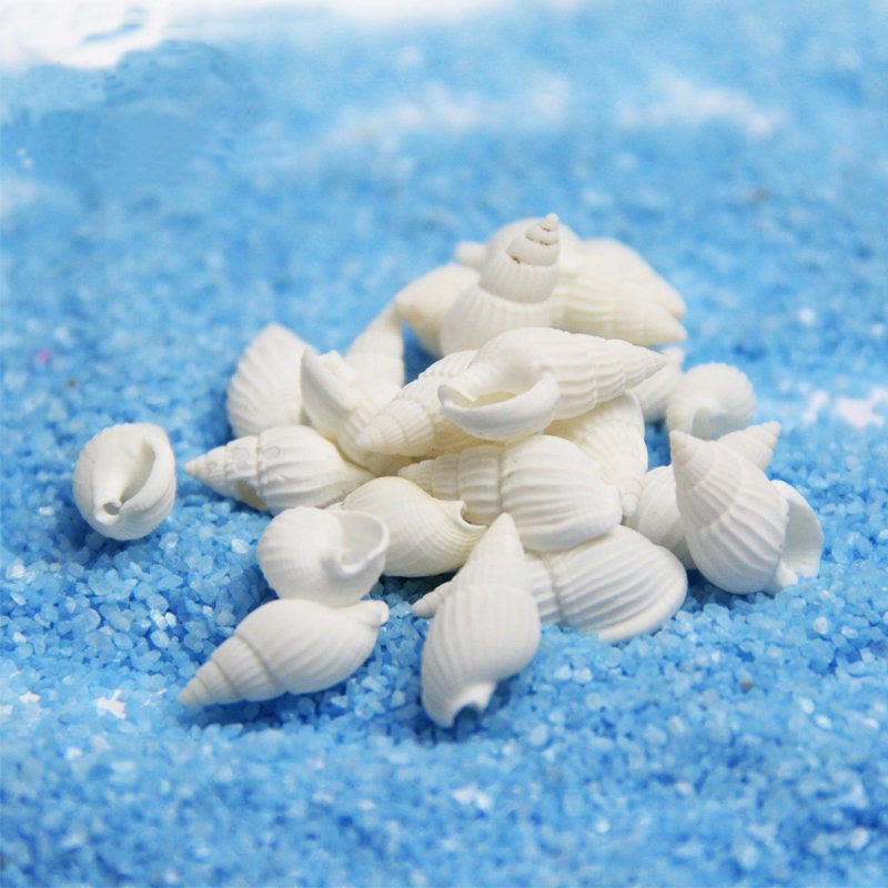 100PCS Natural Conch Shell Aquarium Decoration Mini Sea Beach - Etsy