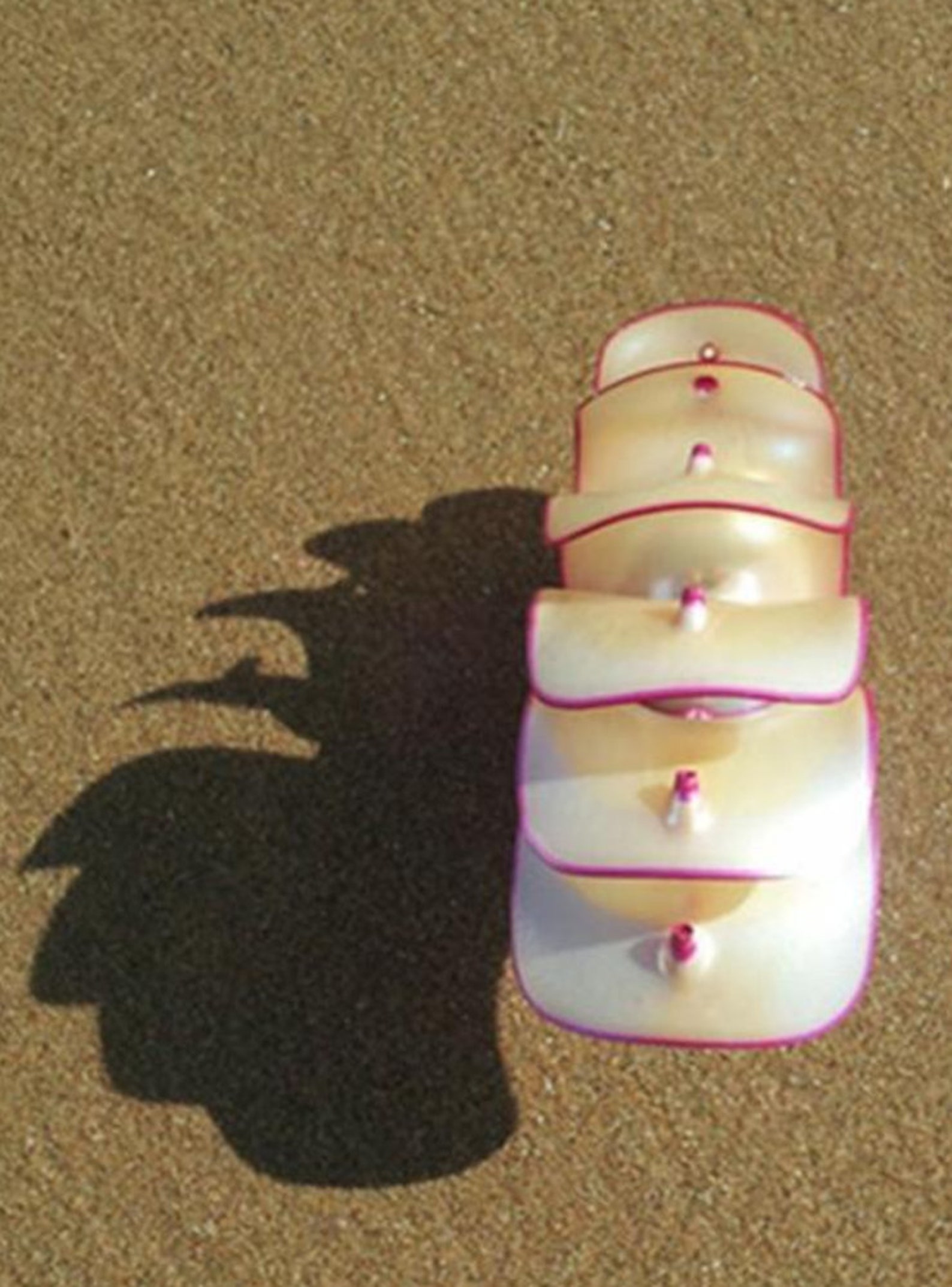 Rare Rose Nautilus Conch Shell: Natural Aquarium Decor - Etsy