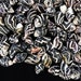20PCS Natural Conch Shell Aquarium Decoration Mini Sea Beach Shell ...