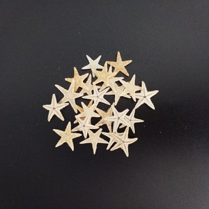 100pcs Natural Sea Star Small Starfish Star Sea Shell Beach Craft Sea ...