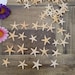 100pcs Natural Sea Star Small Starfish Star Sea Shell Beach - Etsy