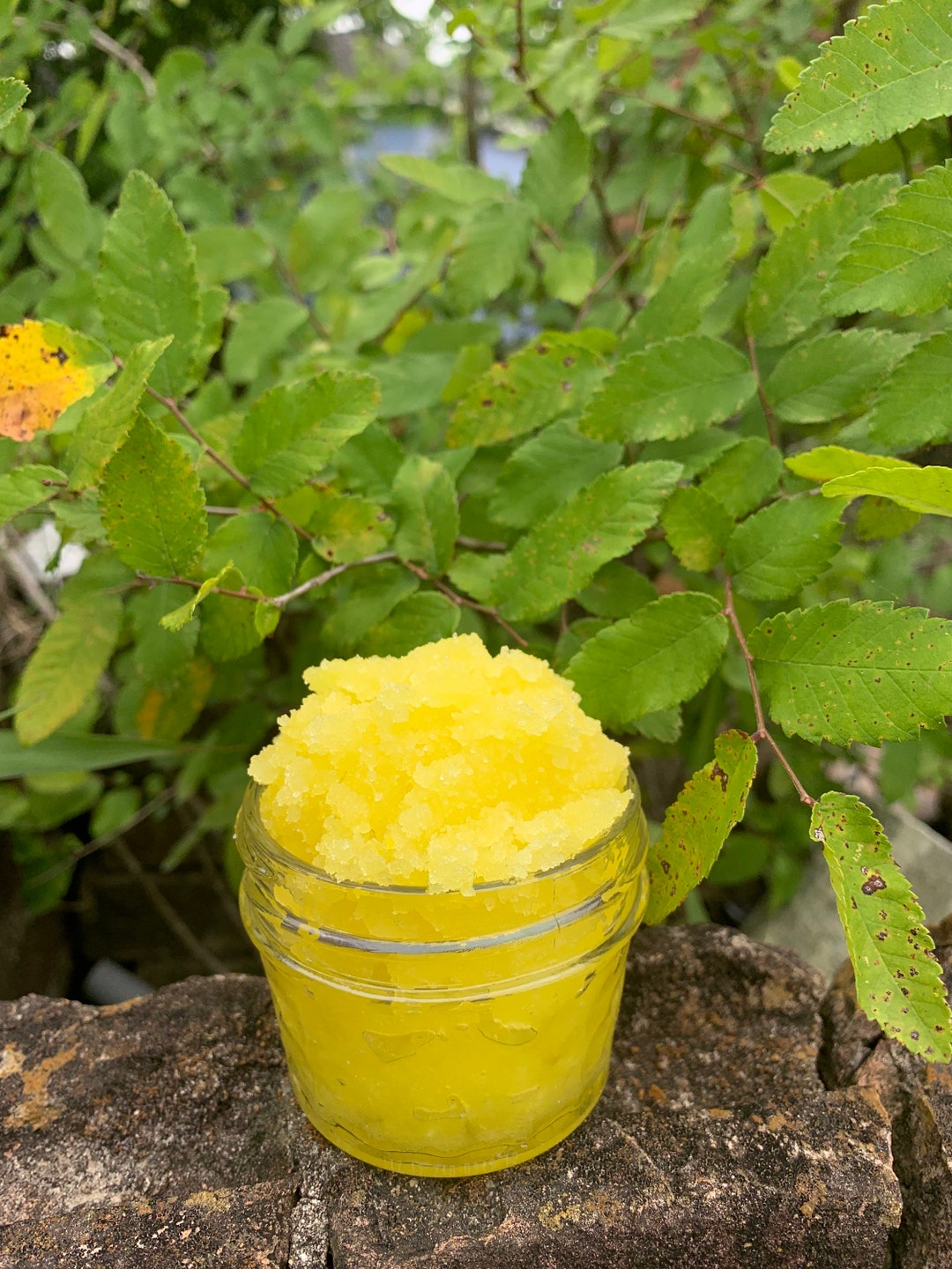 Sunflower (sweet Orange + Tea Tree) Suga Scrub - Etsy