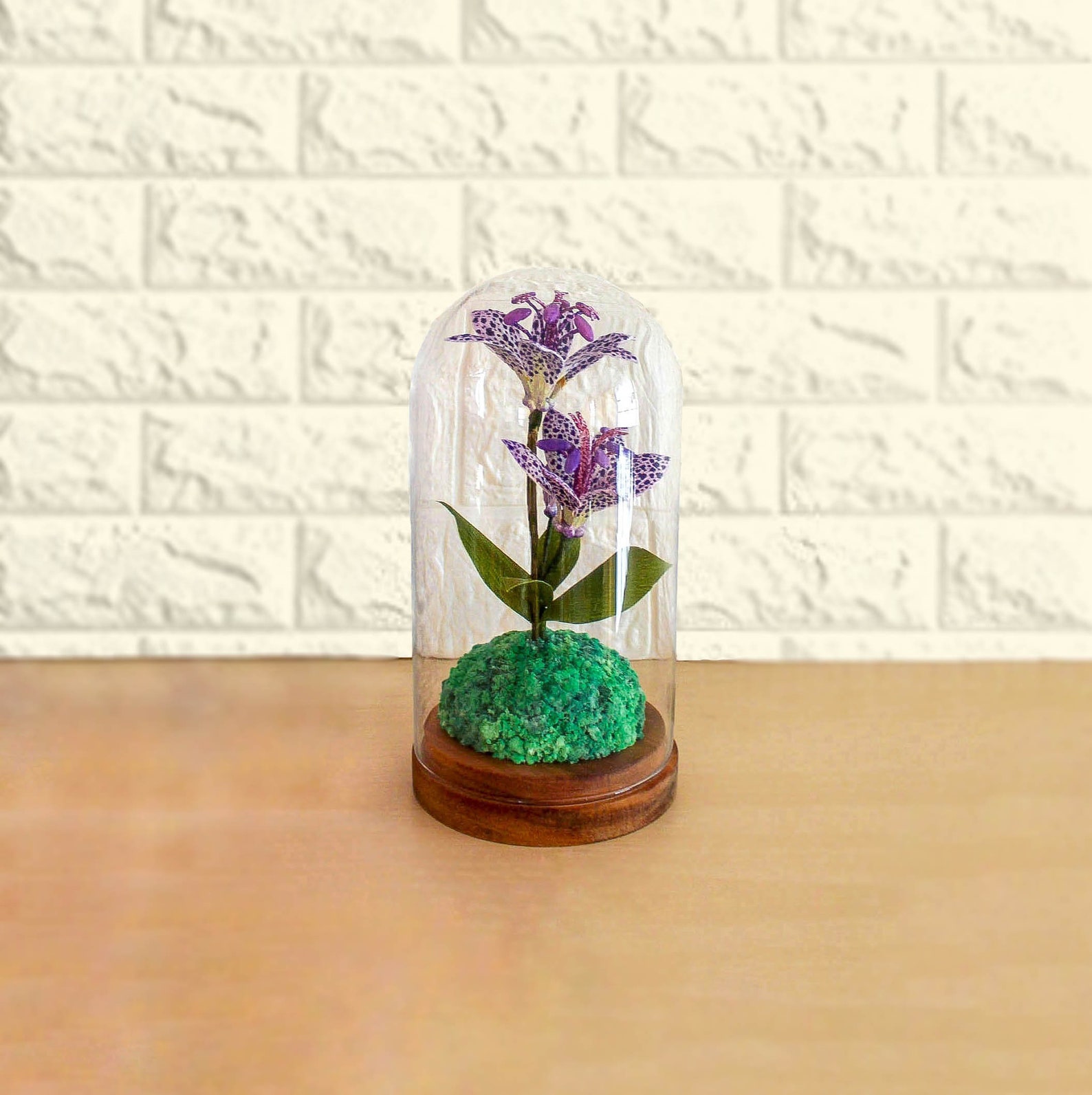 Flower Glass Dome Flower Display Decor Glass Dome Flower | Etsy