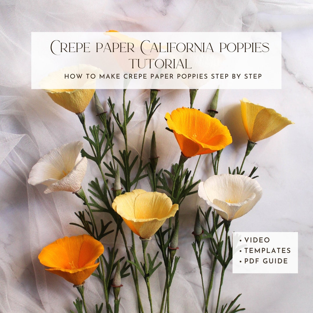 Crepe Paper California Poppies Template Printable Pdf Paper - Etsy